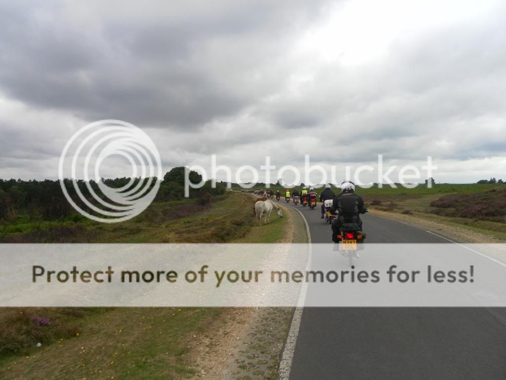 New Forest Run~17th August ~ Southern Softies 2013 - Page 22 - C90Club ...