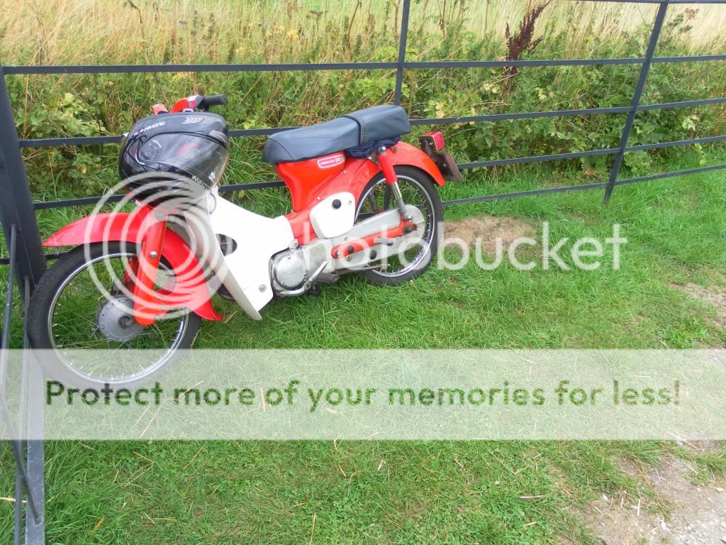 New Forest Run~17th August ~ Southern Softies 2013 - Page 22 - C90Club ...